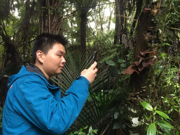 Jacky Peng - Greenfield